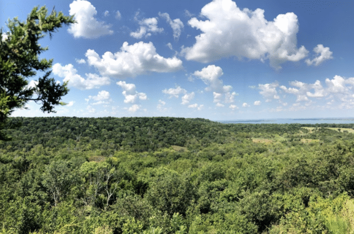 Cedar Ridge Preserve: Dallas’s Leading Eco Trend - dallas-name.com